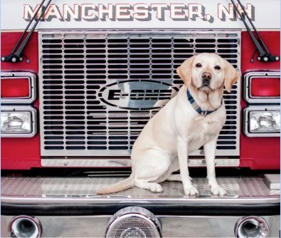 National Arson Awareness Week May 3-9: Meet MFD's 'fire-sniffing' dog ...
