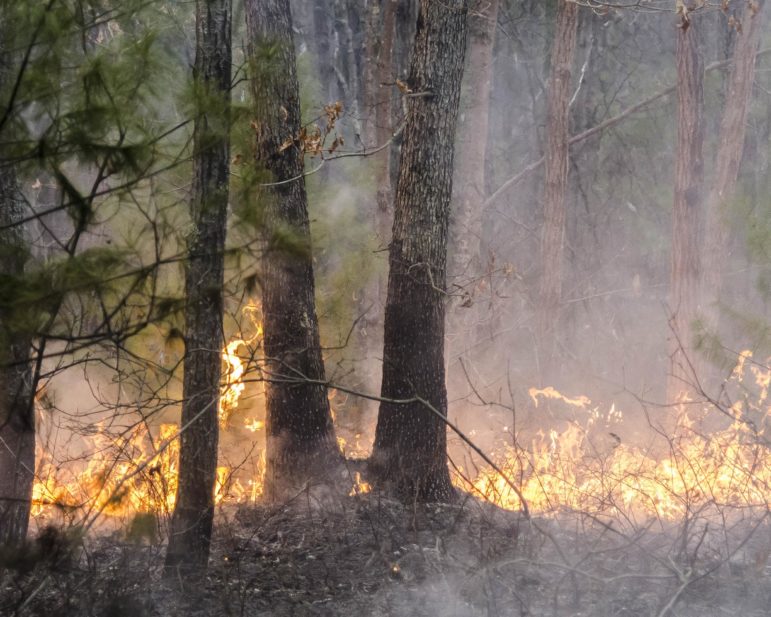 Mayor-elect Ruais announces transition team - Manchester Ink Link