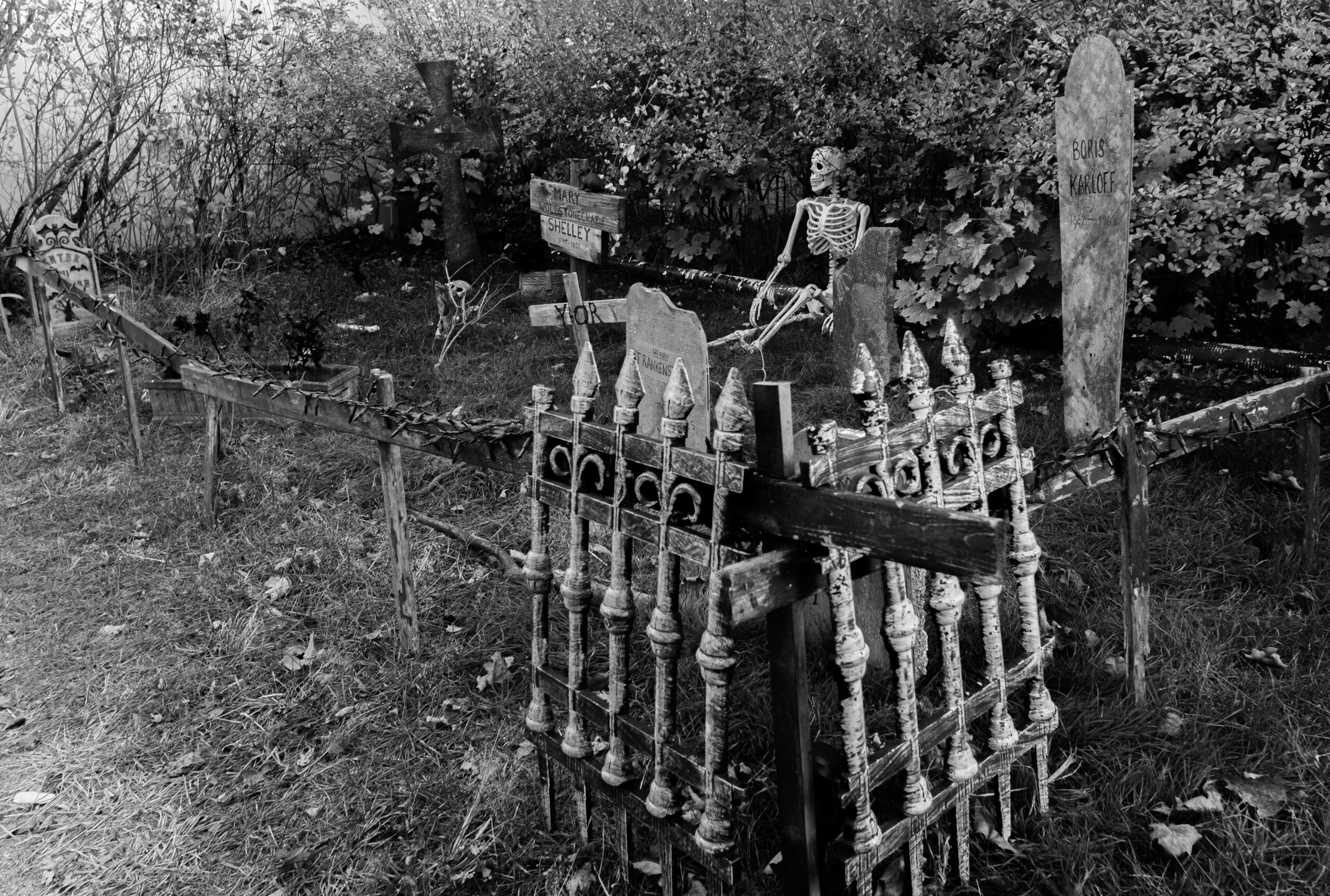 Frankenstein is alive on Jewett Street thanks to one man's dedication to science and Halloween ...