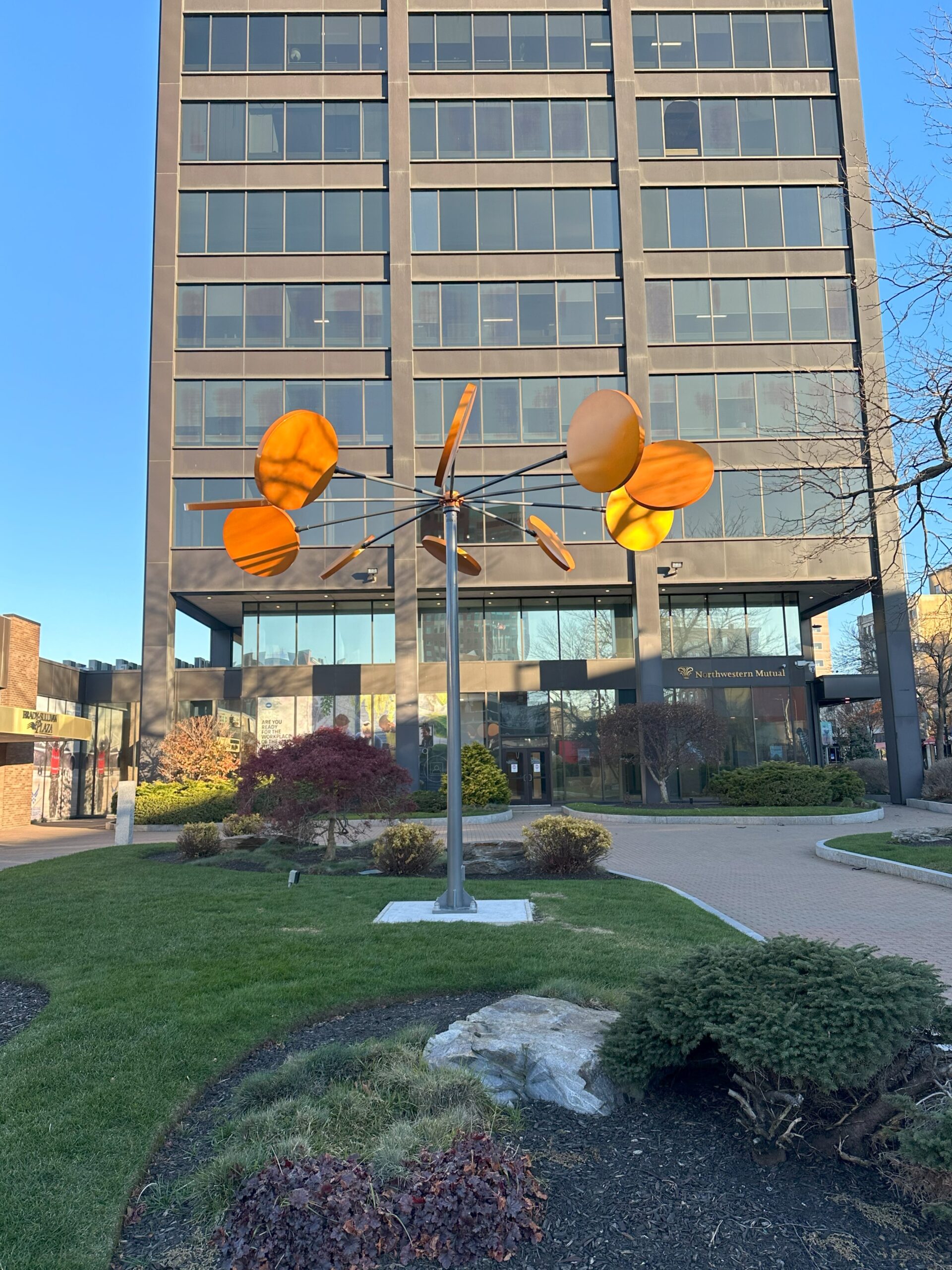 Story behind the story: 'The Lollipops' make their grand return to 1000 ...