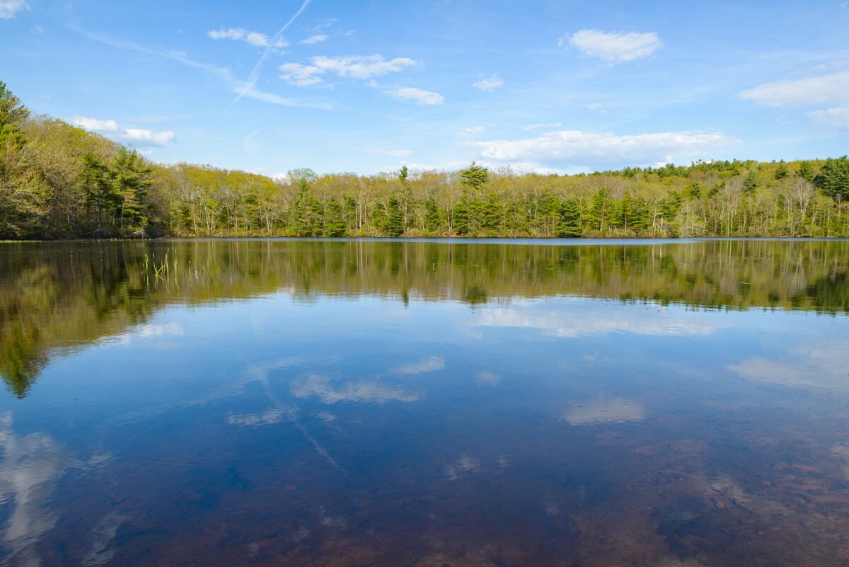 Manchester Parks and Rec partners with Hunt's Photo for beginner ...