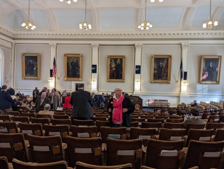 Who are New Hampshire's 424 new state legislators? - Manchester Ink Link