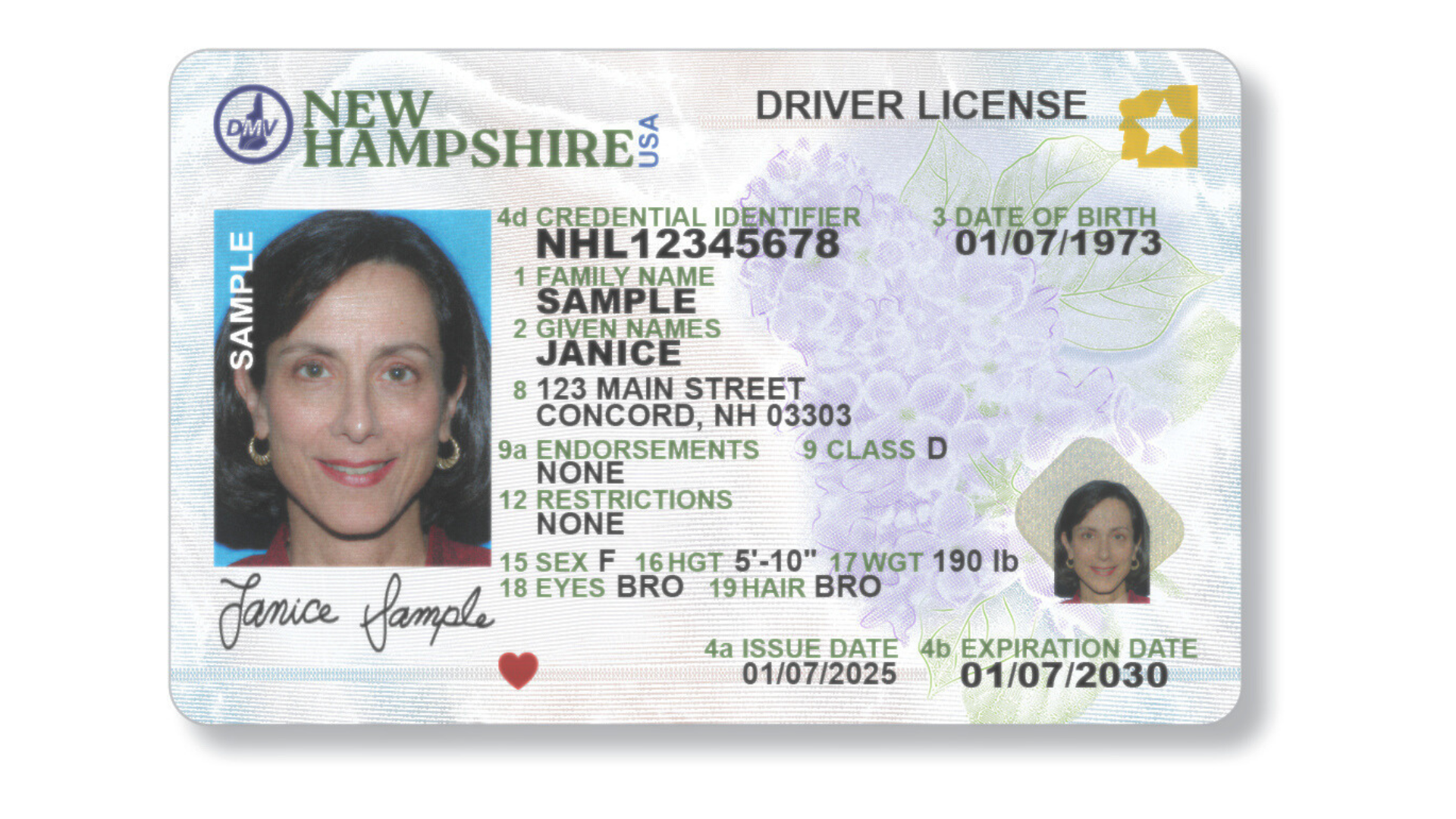 NH DMV debuts new driver's license design (no guarantee your photo will ...
