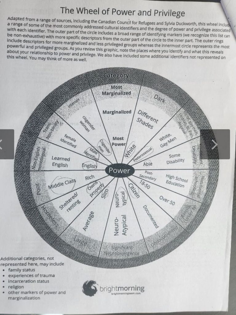 Findings of 'Wheel of Power and Privilege' report: Use in classroom a ...