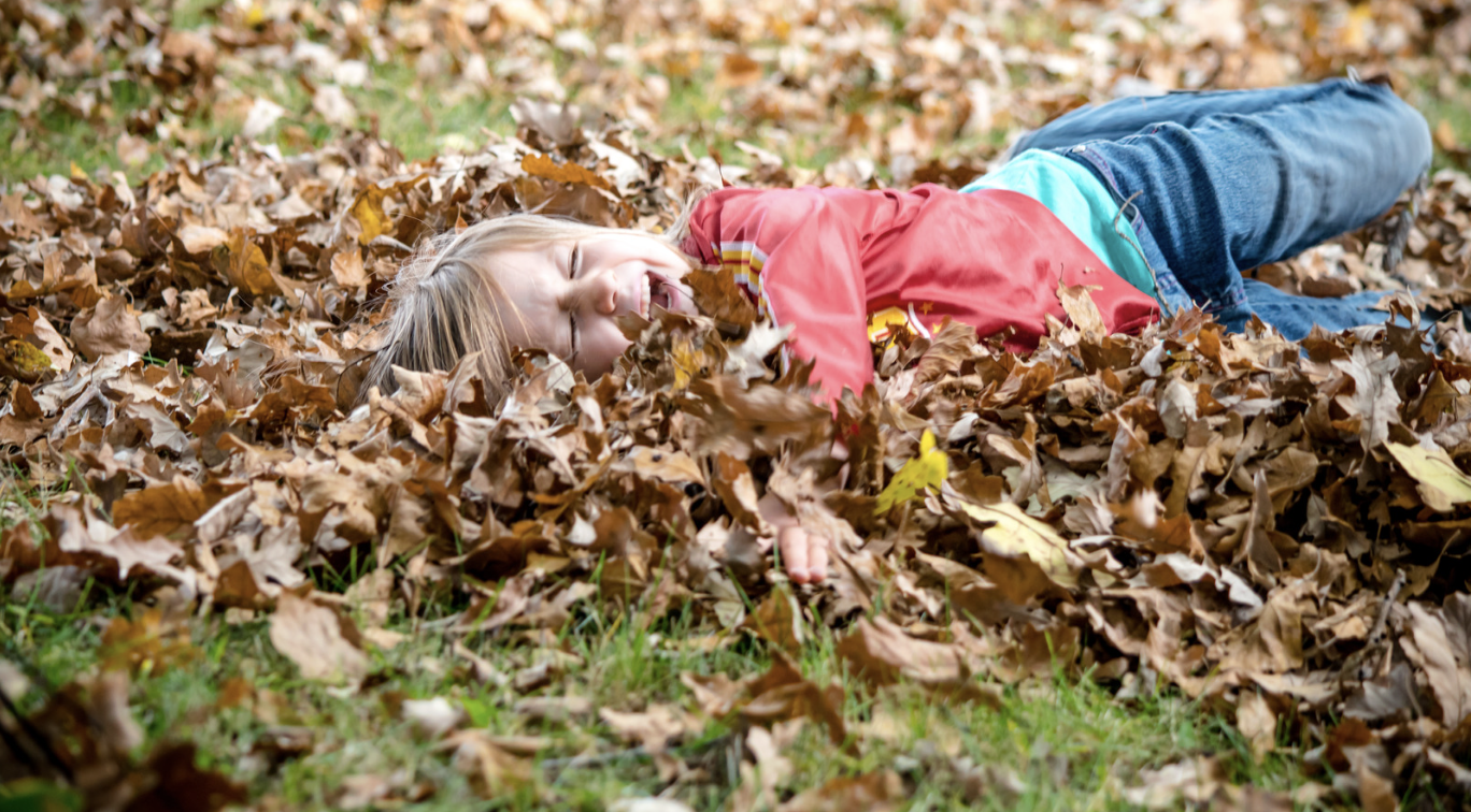 The Soapbox: Toss your rake and 'Leave the Leaves' - Manchester Ink Link