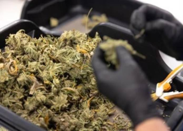 In 2025, New Hampshire made no movement on marijuana - Manchester Ink Link